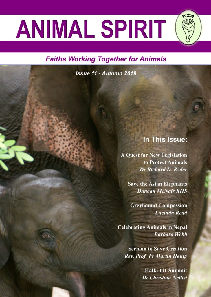 Animal Spirit Magazine – Animal Interfaith Alliance