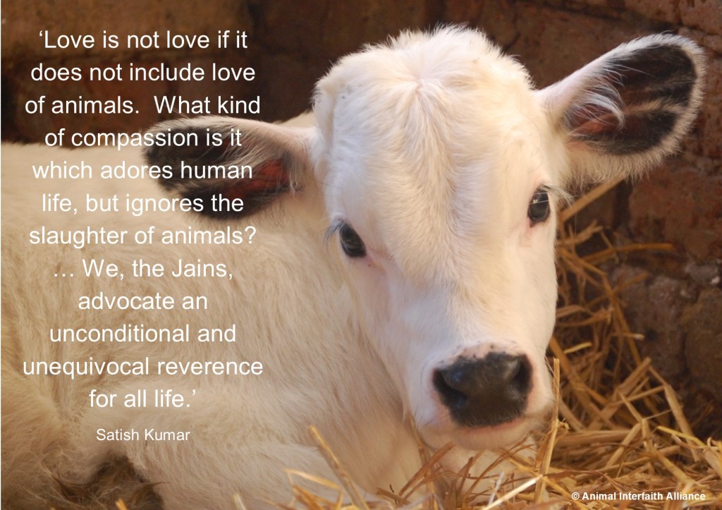 Animal Interfaith Alliance – Faiths Working Together for Animals